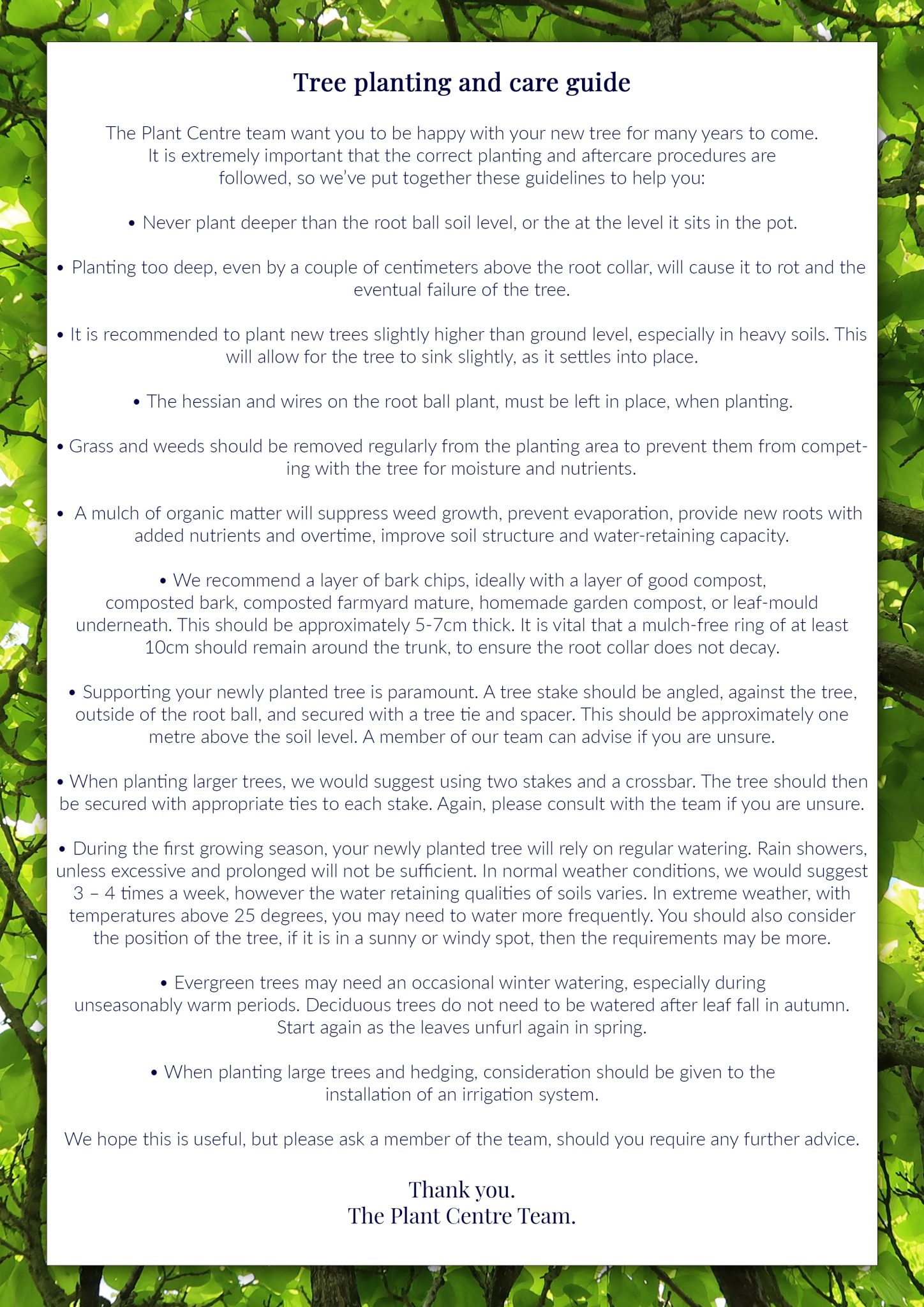 Planting Advice - Top Team Tips - the Plant Centre provides advice on ...
